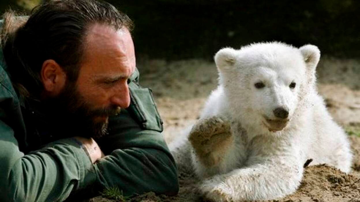 Leonardo DiCaprio y Knut, juntos por el medio ambiente | Canarias7