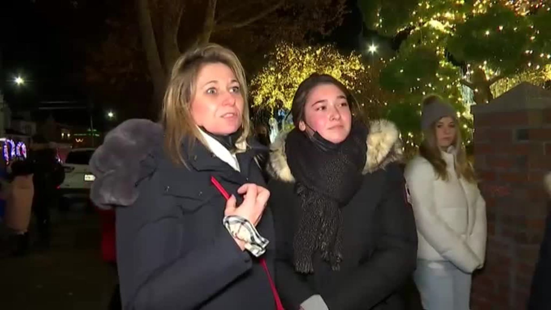 Un barrio de Brooklyn en Nueva York ilumina las casas y atrae a miles ...