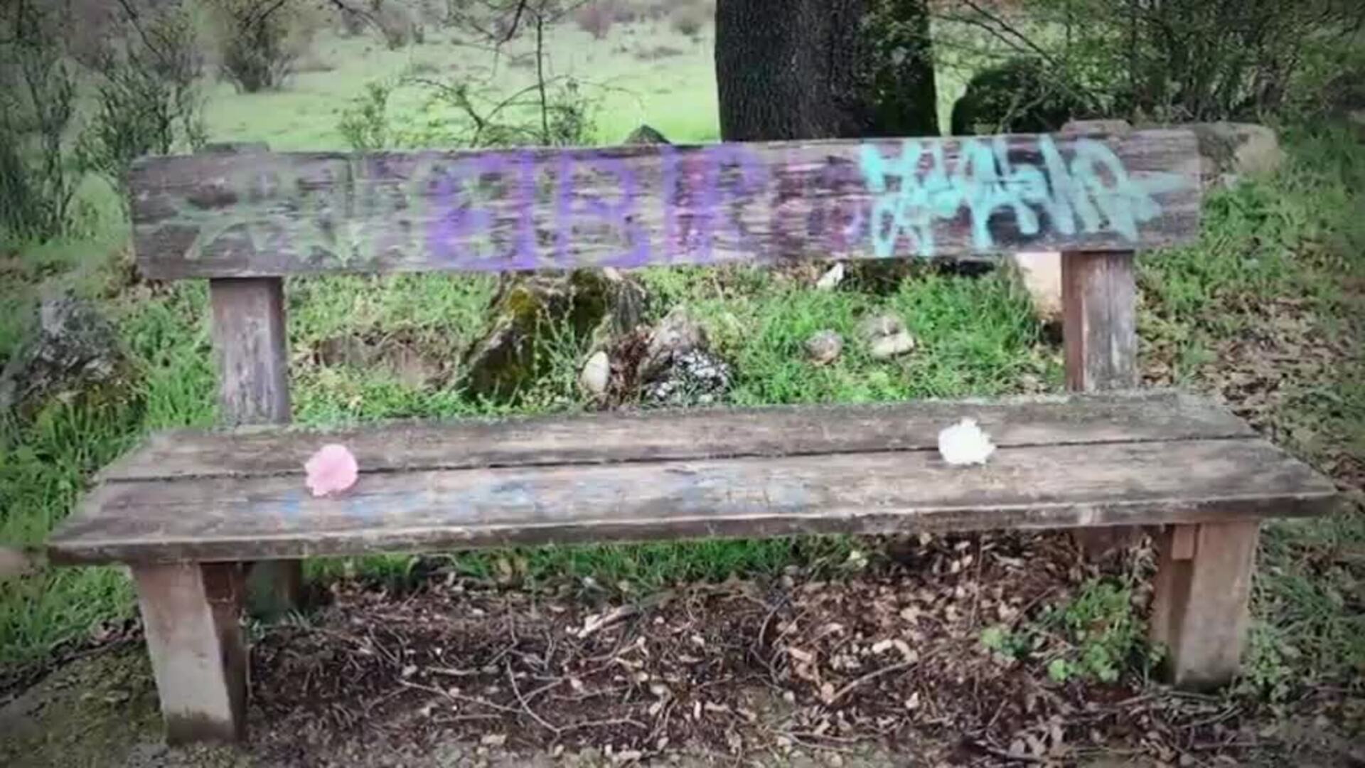 El banquito de Benjamín y María Dolores en Guadalix de la Sierra ...