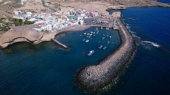 Arico, últimas noticias - Canarias7