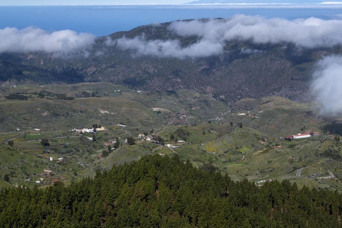 La primavera reverdece Gran Canaria | Canarias7