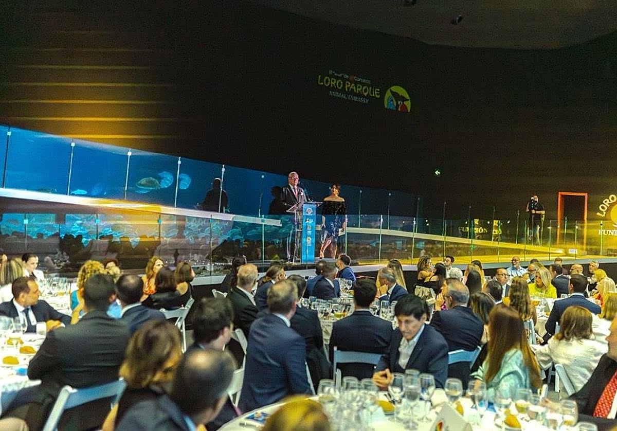 Loro Parque Fundación brilla con motivo del Día de los Océanos | Canarias7