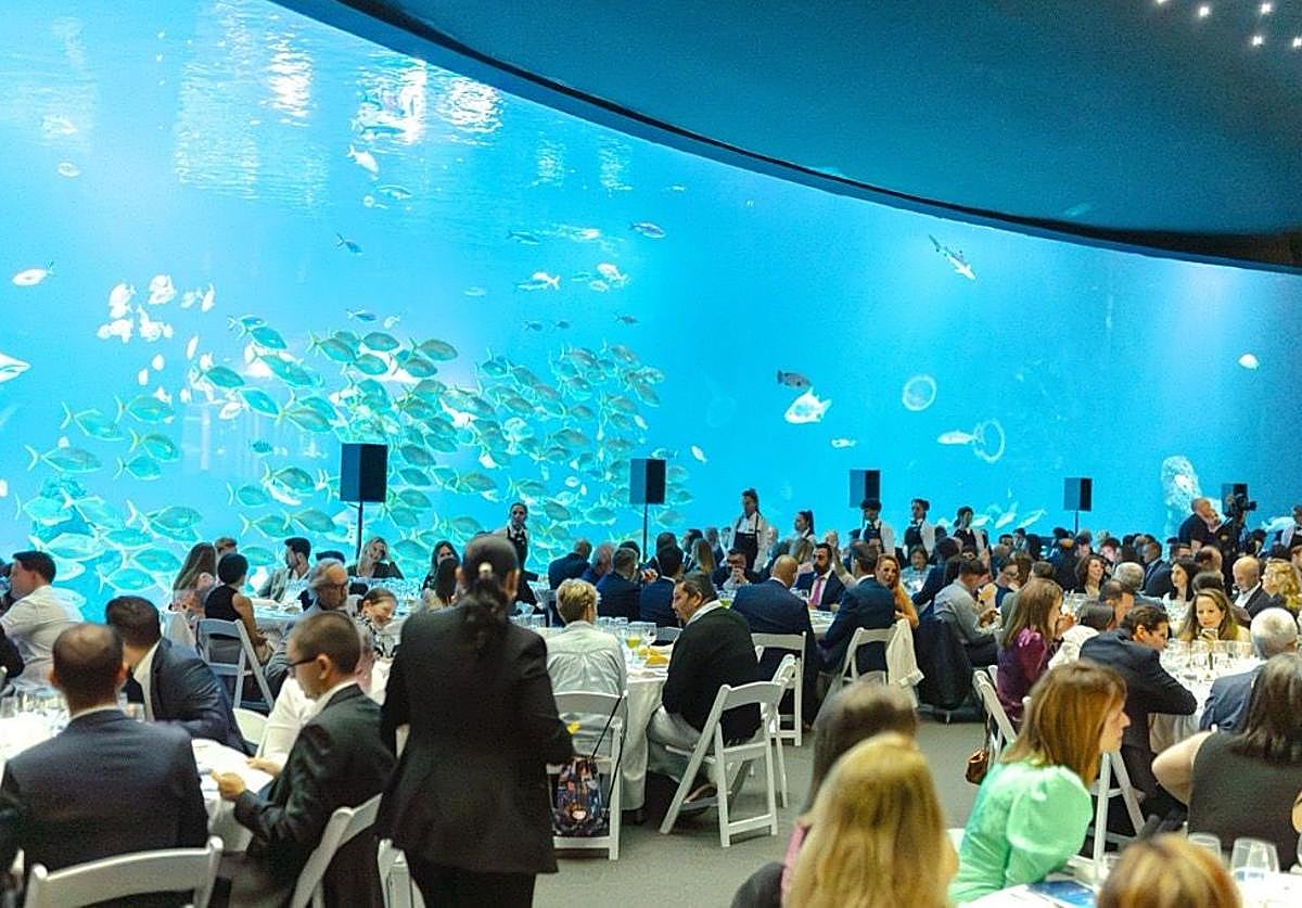Loro Parque Fundación brilla con motivo del Día de los Océanos | Canarias7