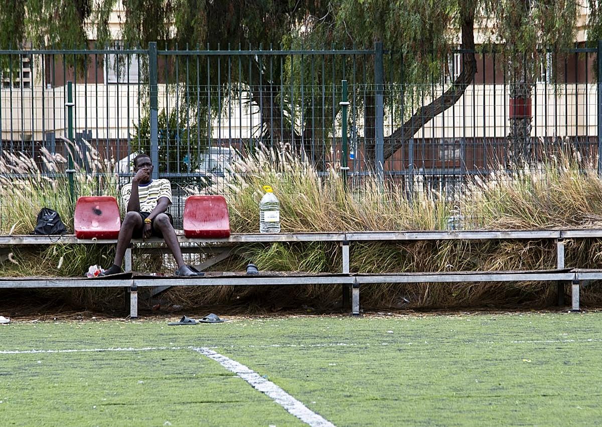 Nueva Paterna es una jungla | Canarias7