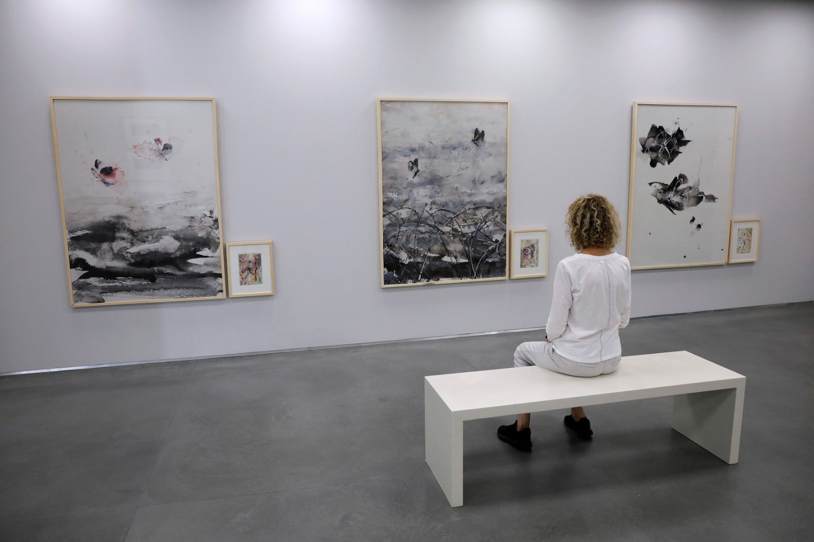 Fotos: La nueva exposición del Museum Jorge Rando enfrenta el último ...