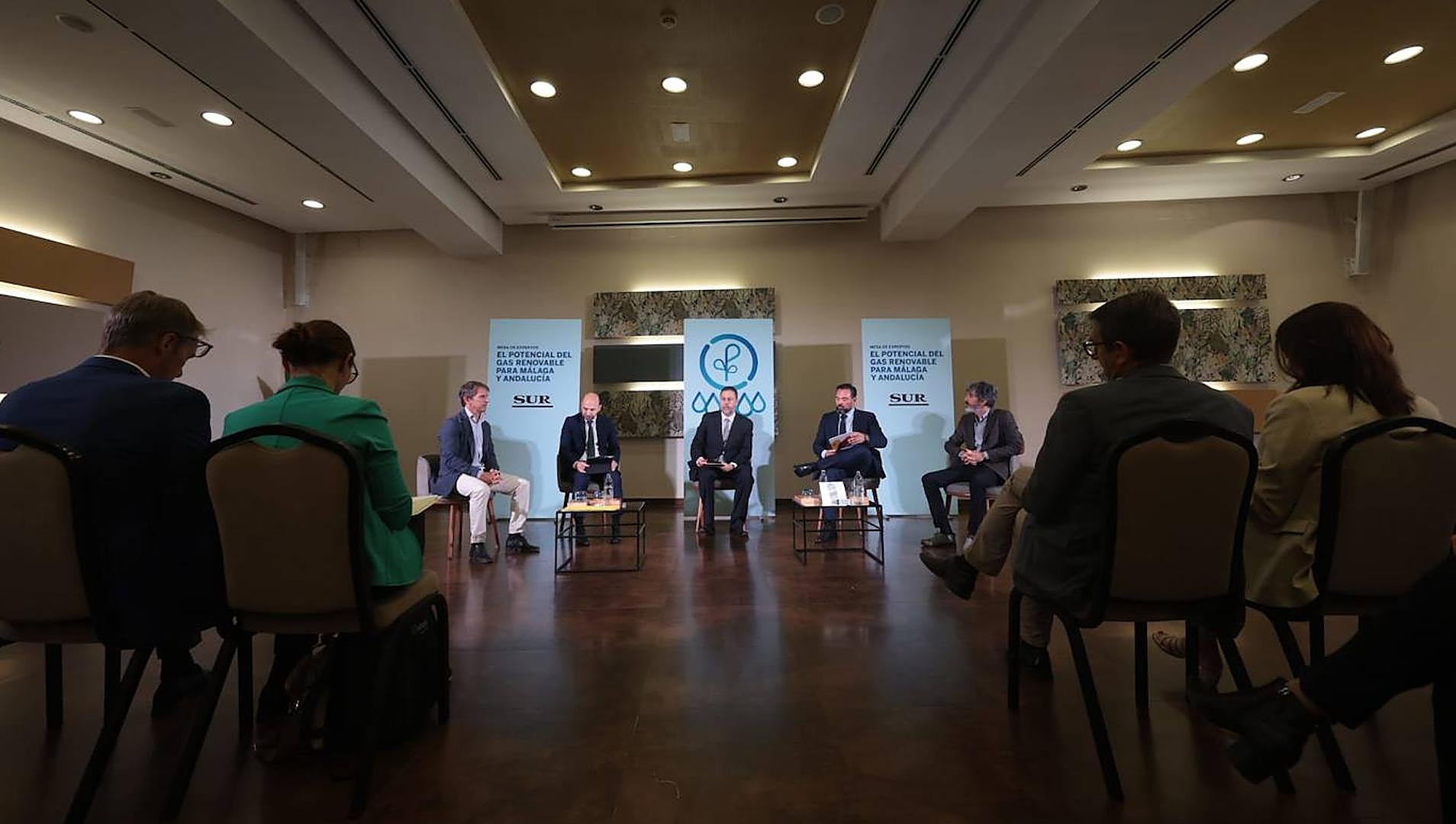 El gas renovable y su potencial para Málaga y Andalucía, a debate en un ...