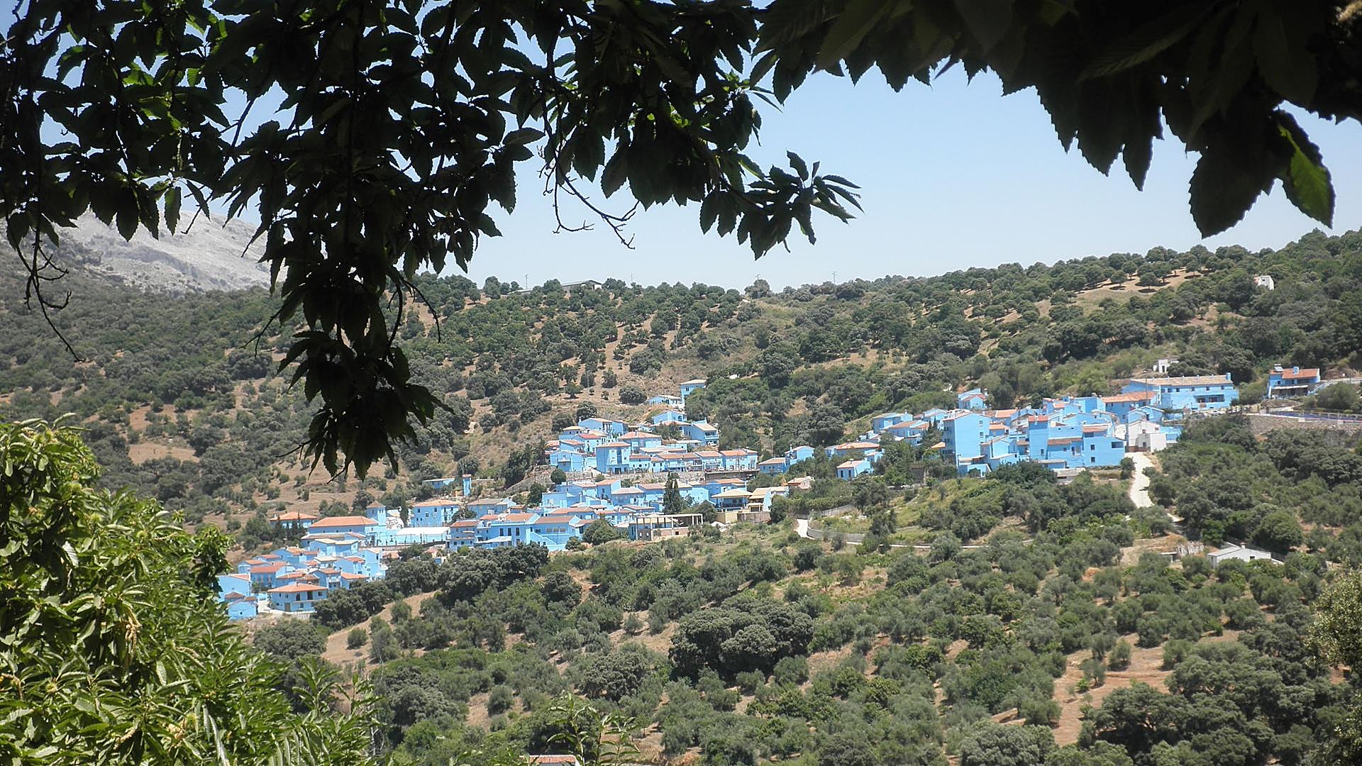 La Aldea Azul también se puede saborear | Diario Sur