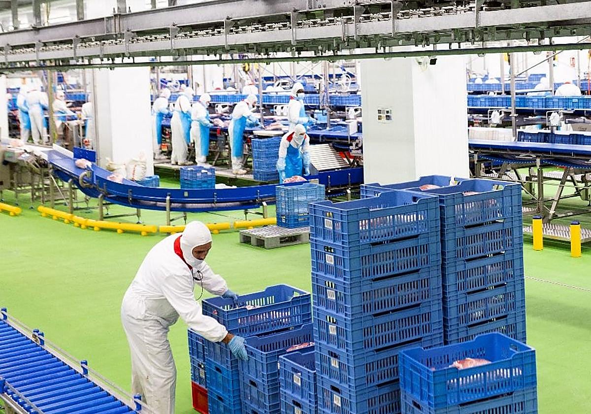 Famadesa completa la puesta en marcha de su nueva planta de producción ...