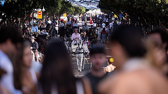Feria de Malaga 2025 | Diario Sur