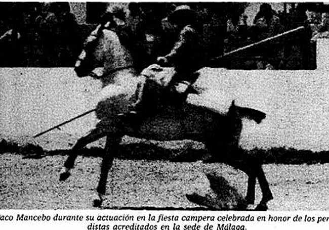 La curiosa fiesta campera en Málaga con motivo del Mundial 82 | Diario Sur