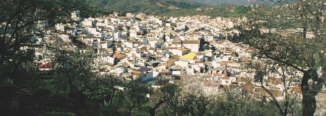 Guaro celebra este domingo el Día del Almendro | Diario Sur