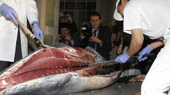 Ronqueo de atún de almadraba en vivo en el Vincci Estrella de Mar en ...