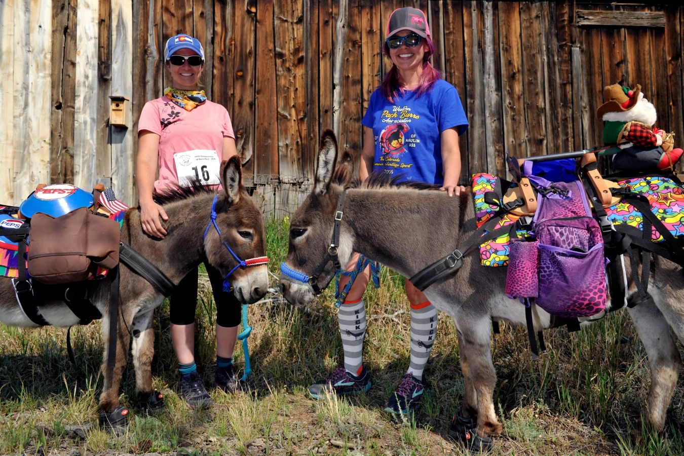 Fotos: Carreras de burros | El Diario Vasco