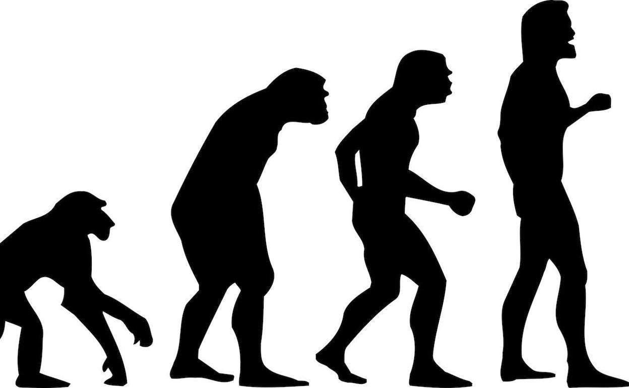 El bipedalismo humano tuvo orígenes más profundos de lo establecido ...