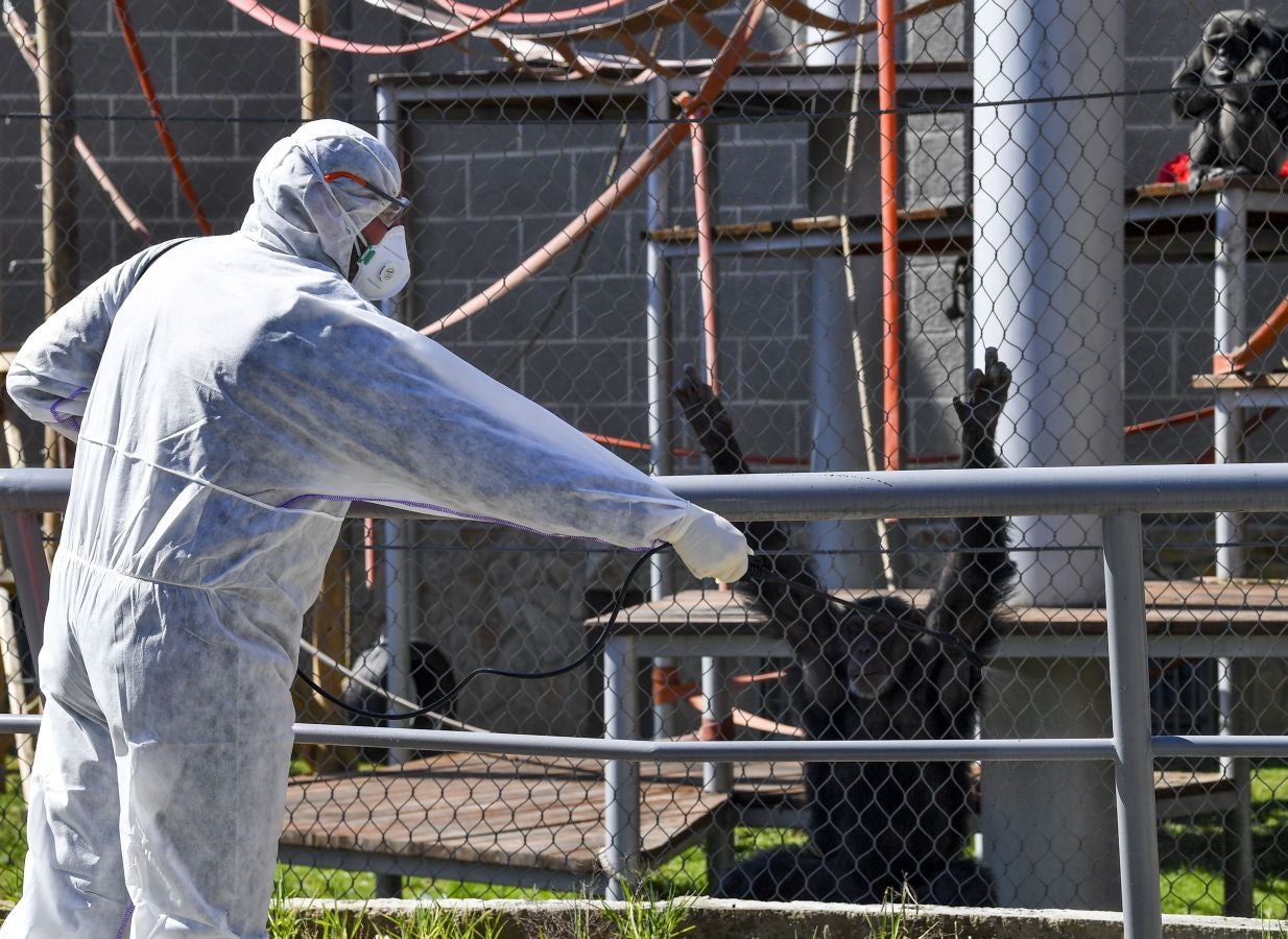 Fotos: Cuarentena en el zoo | El Diario Vasco