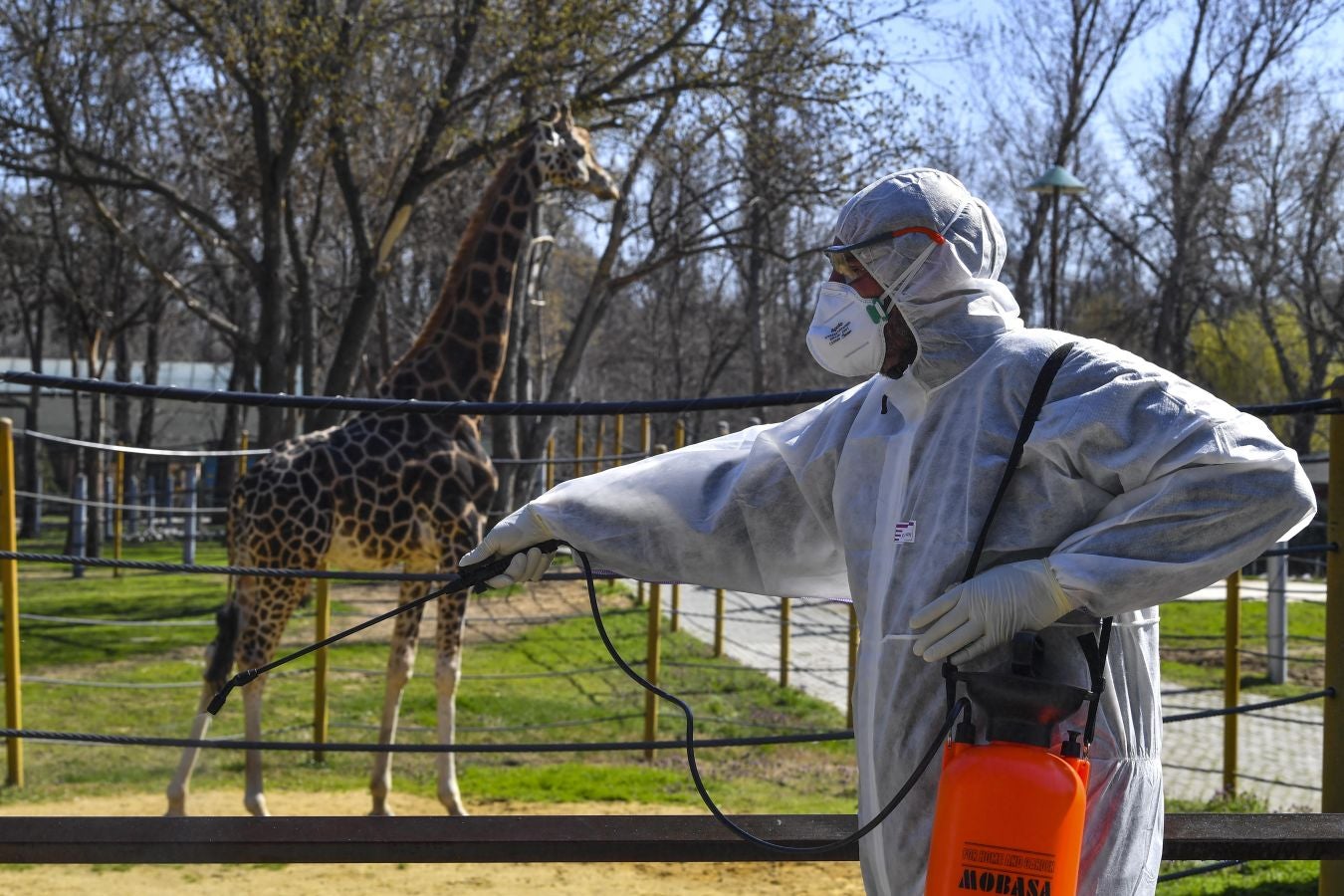 Fotos: Cuarentena en el zoo | El Diario Vasco