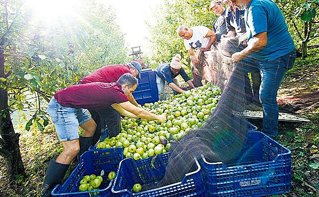 Zapiain, una apuesta constante por la calidad | El Diario Vasco