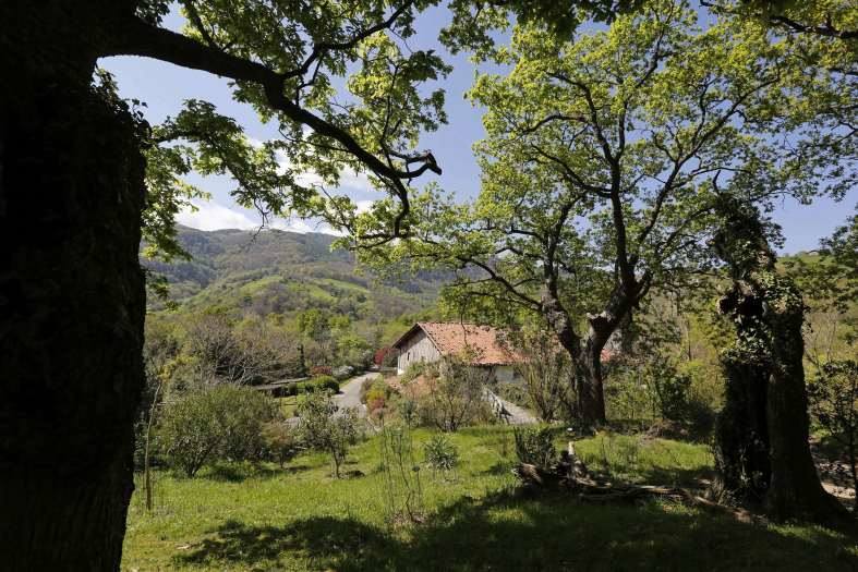 Fotos: Bosques y montes vascos en los que perderse este otoño | El ...
