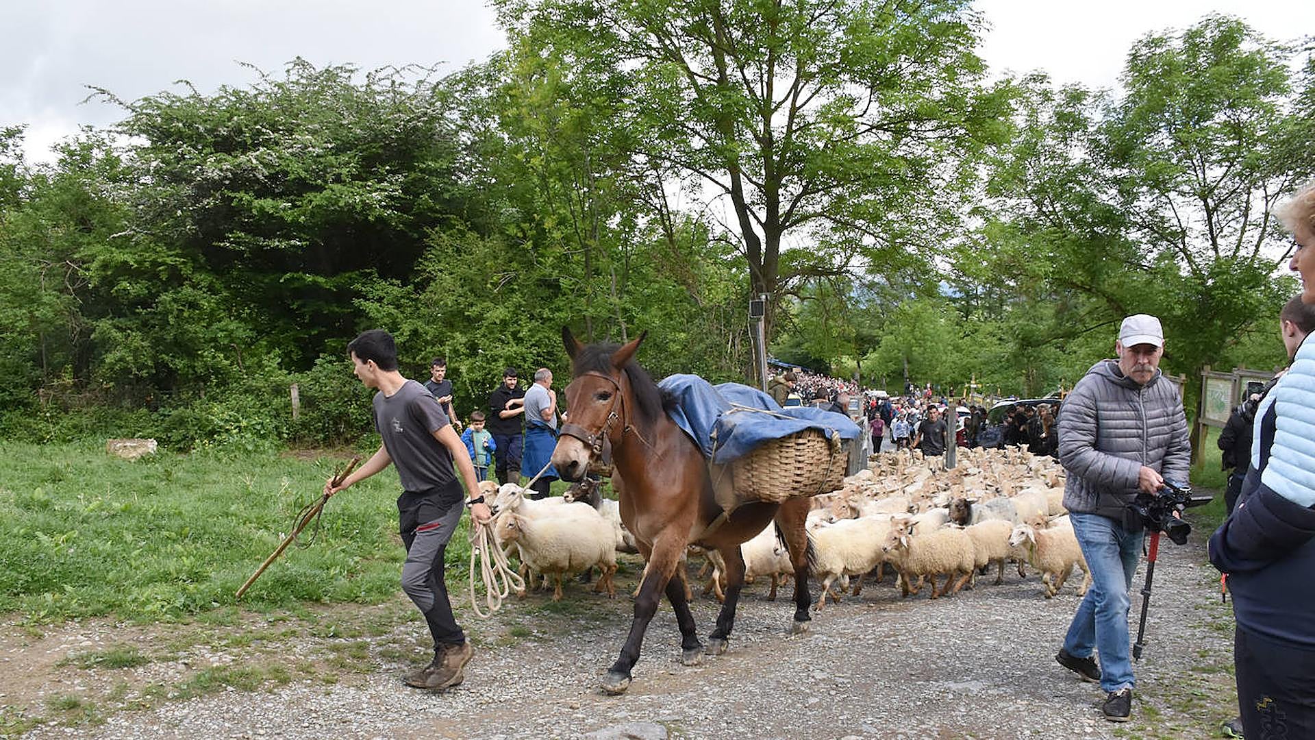 Mancomunidad de Enirio Aralar: Apertura de pastos en Larraitz | El ...