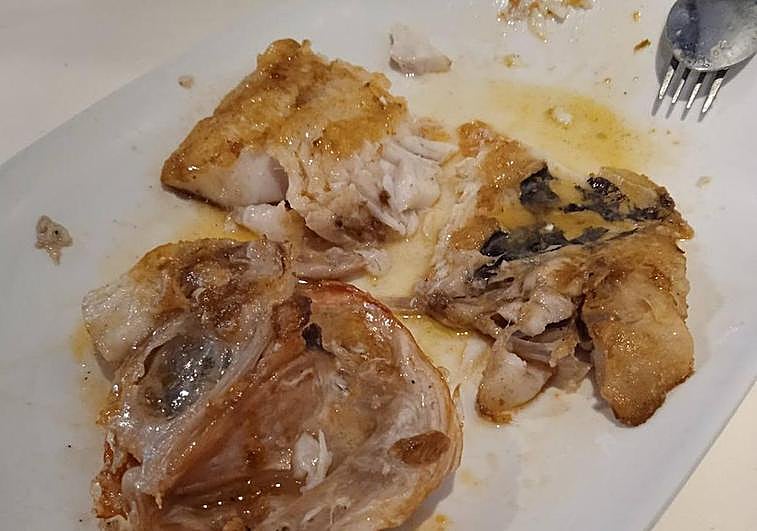 Pez rey, el aristócrata de los mares | El Diario Vasco