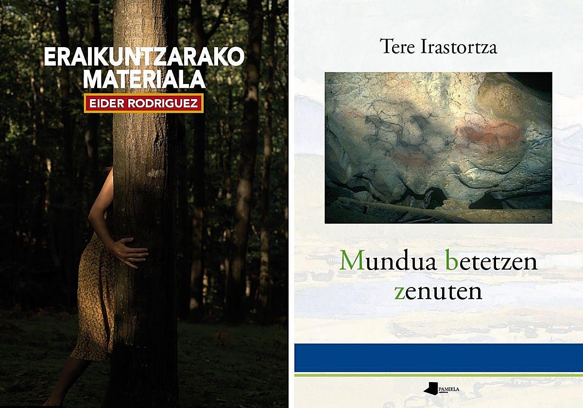 17 libururen itzulpena lagundu zuen iaz Etxeparek | El Diario Vasco