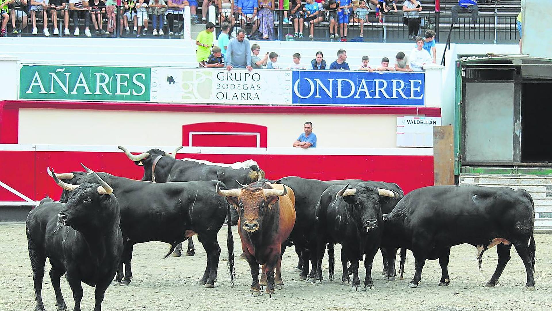 Toros en Azpeitia: La Feria de San Ignacio sigue fiel a la tradición ...