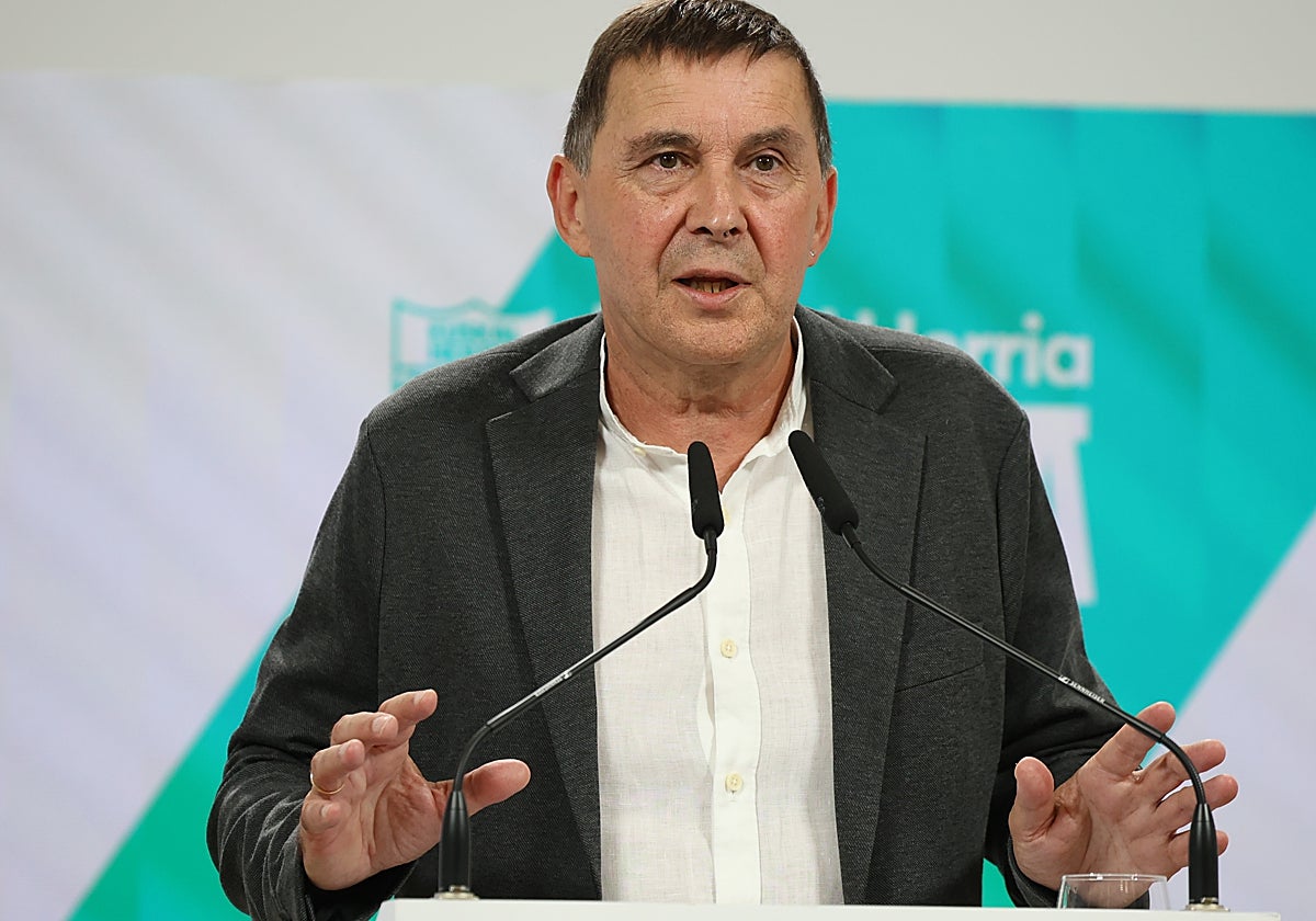 Otegi reitera su apoyo a Sánchez, pero avisa que «no es razonable ...
