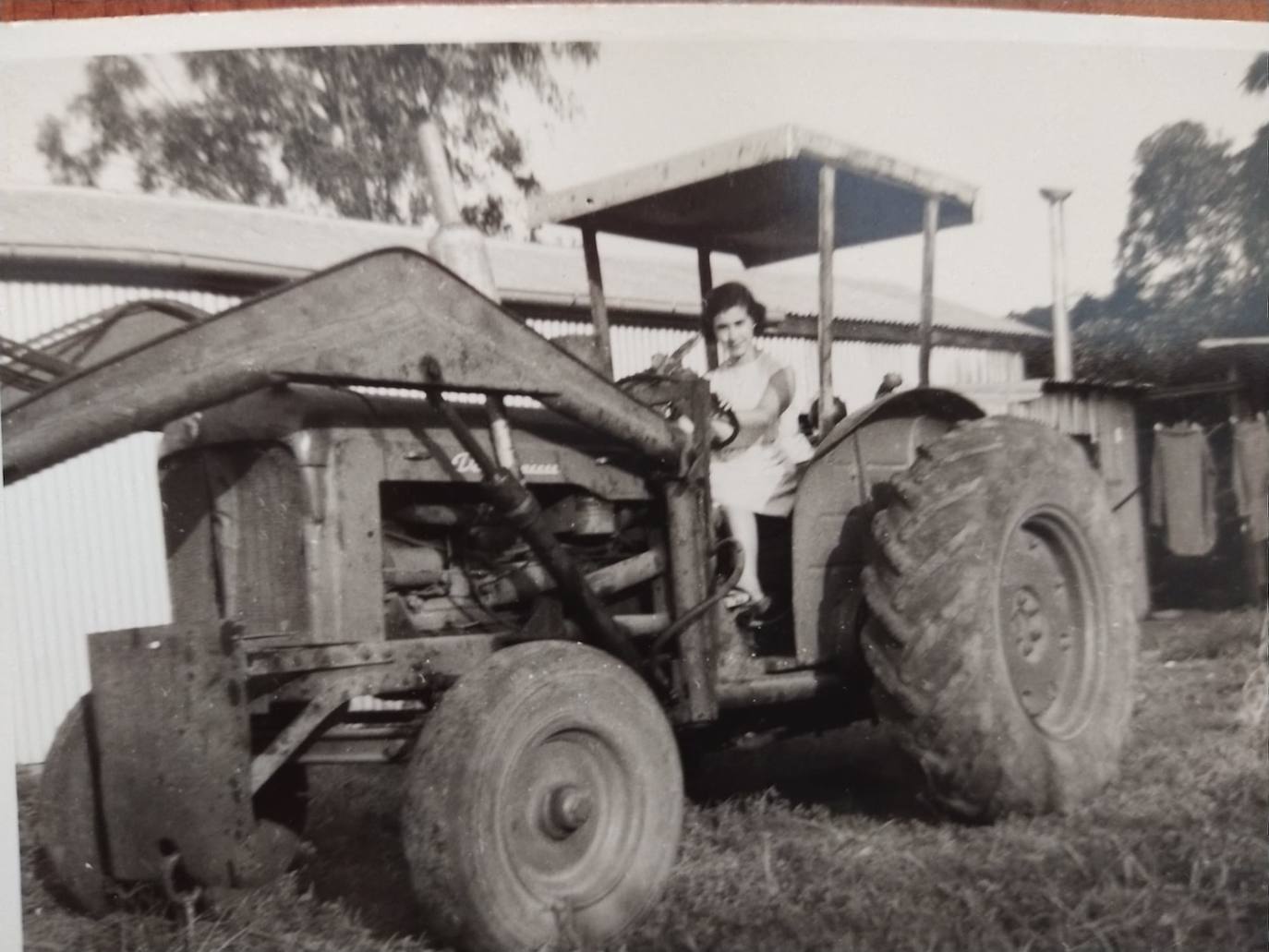 Plan Marta: Las mujeres vascas que fueron engañadas para casarse en ...