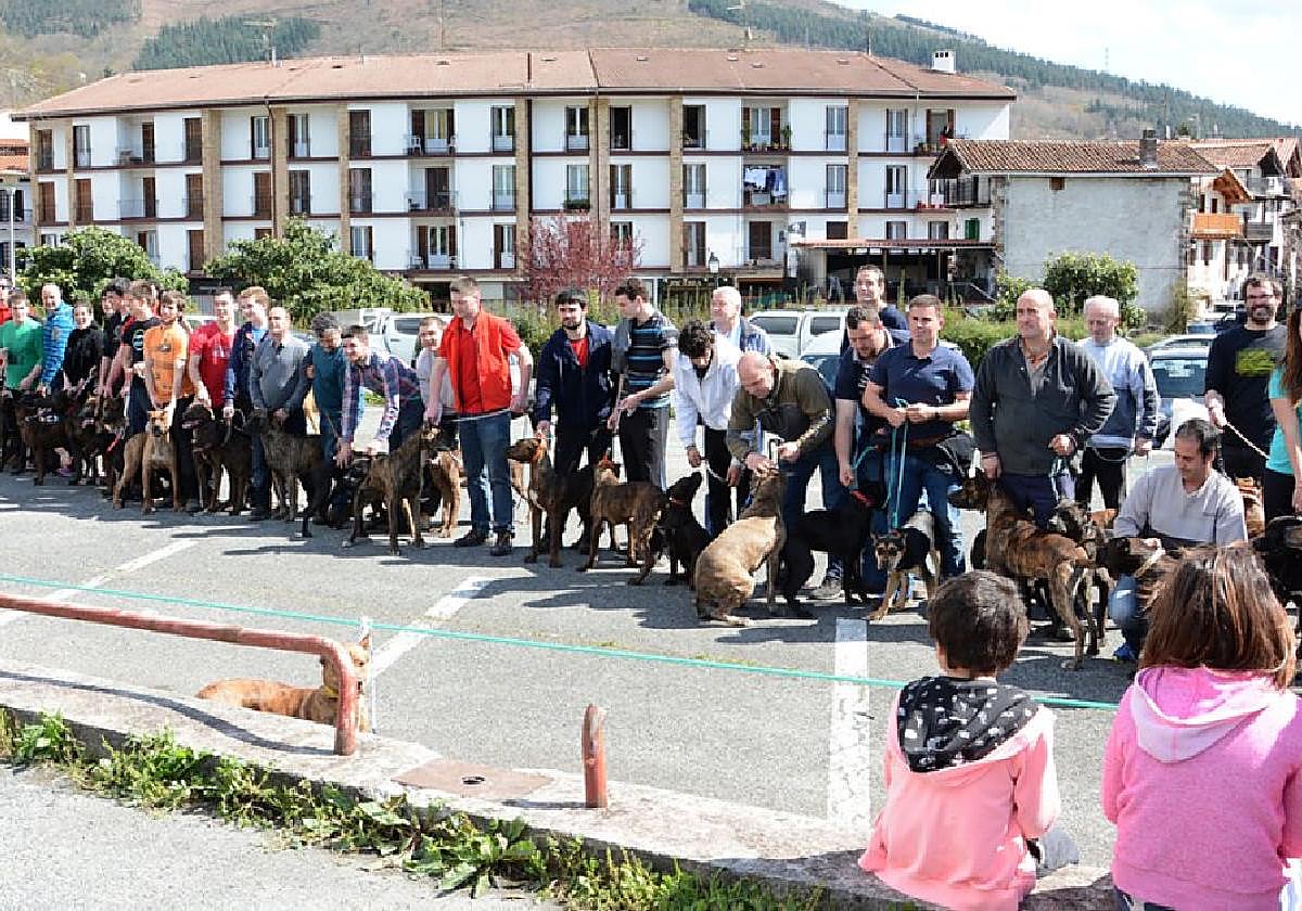Doneztebe acoge hoy un nueva edición del Día del Perro de Presa Navarro ...