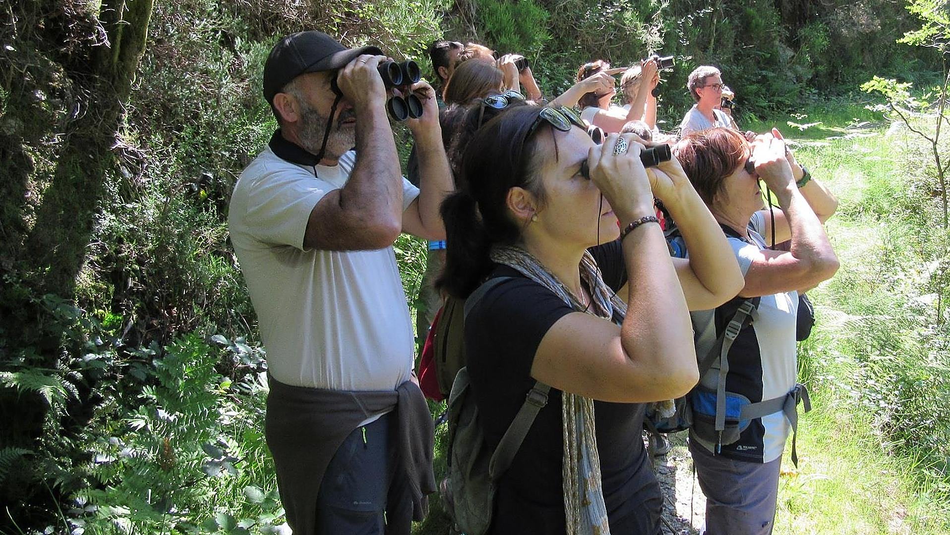 Okil beltza ezagutzeko solasaldi eta ibilaldia | El Diario Vasco