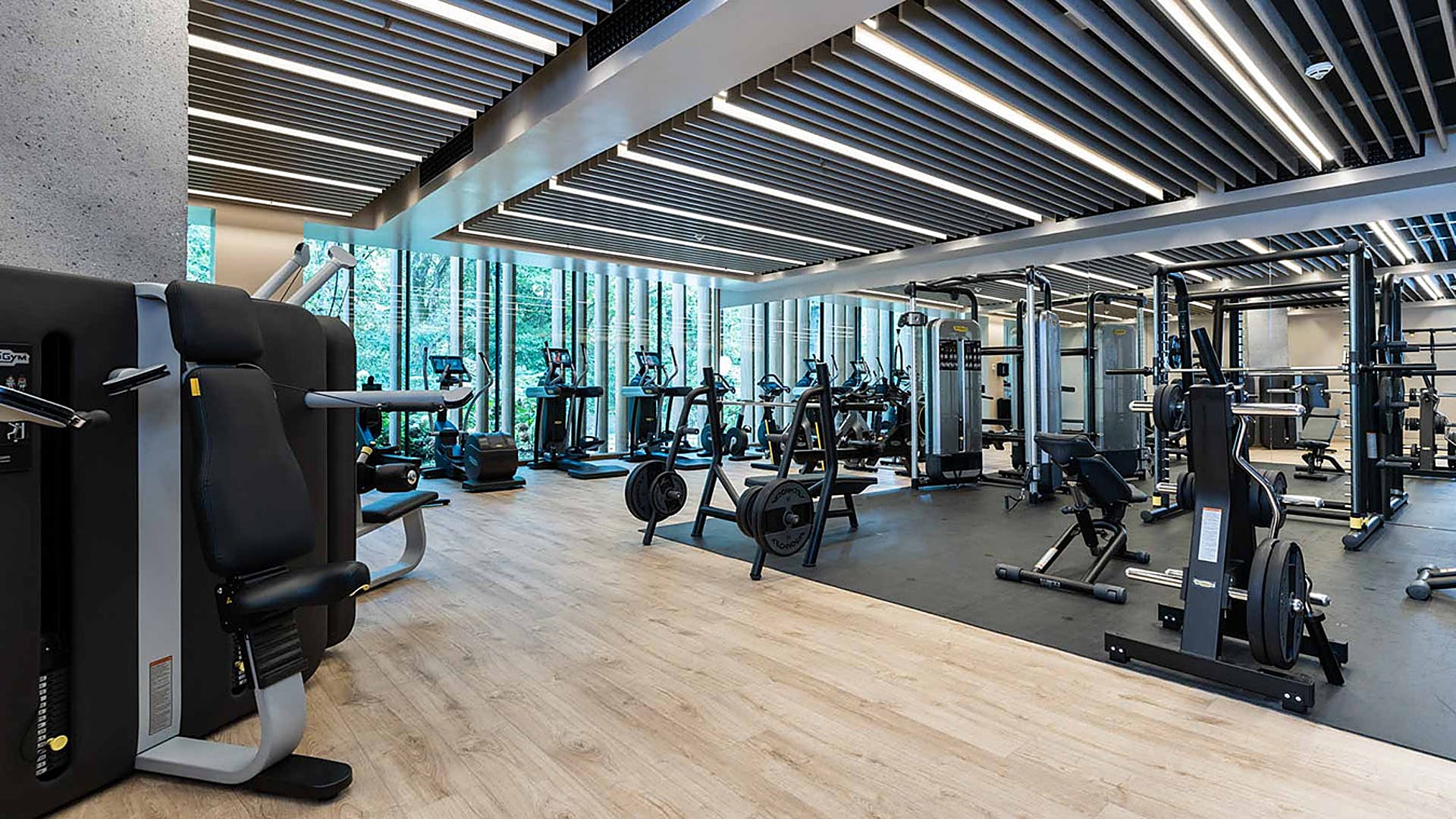 Potencia tu bienestar: los múltiples beneficios del fitness para una ...