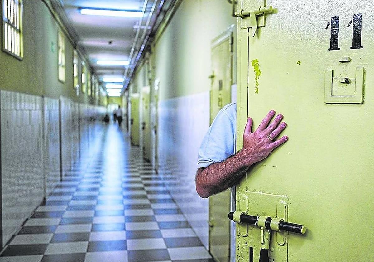 Euskadi tiene casi los mismos presos por violencia machista que por ...