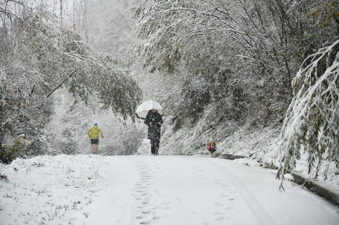 La llegada de la nieve a Gipuzkoa, en imágenes | El Diario Vasco