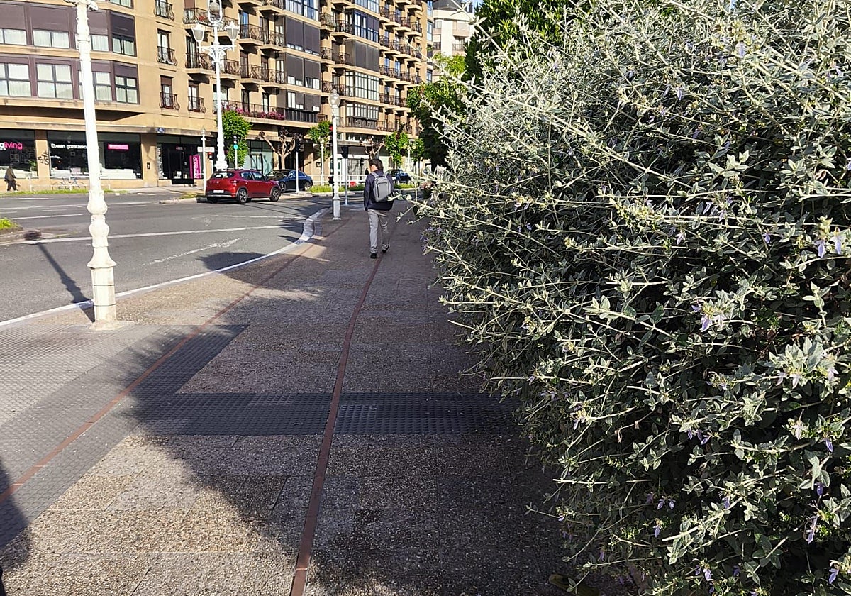 Sirimiri: «Donosti de postal... hasta la rotonda» | El Diario Vasco