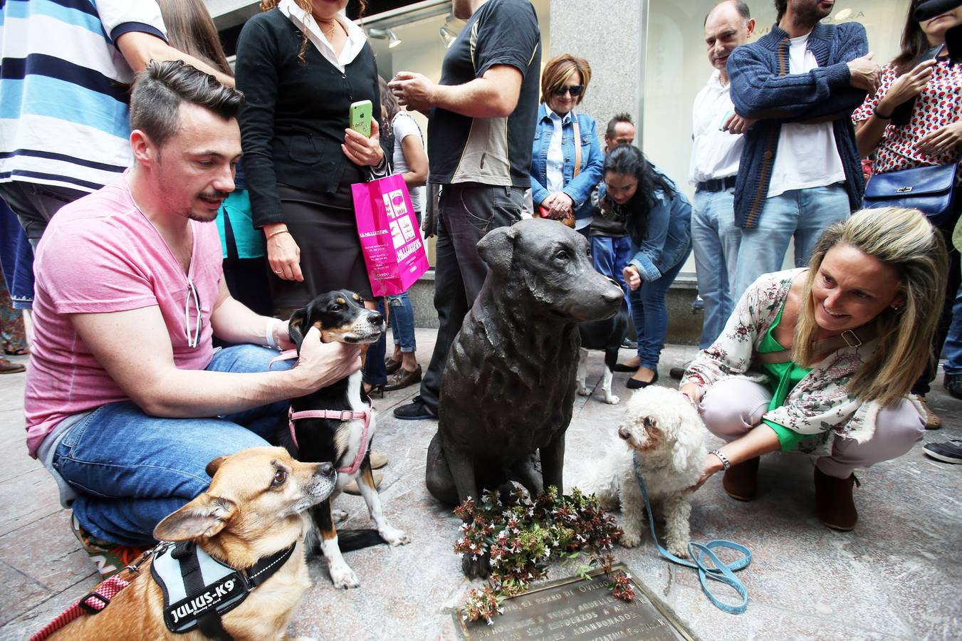 El perro Rufo vuelve a Oviedo | El Comercio: Diario de Asturias