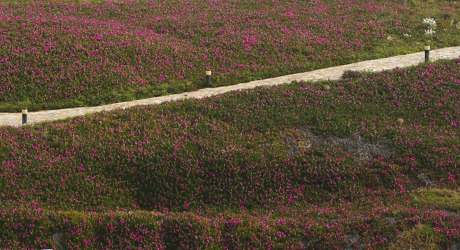 Fotos: Postales primaverales en Asturias | El Comercio: Diario de Asturias