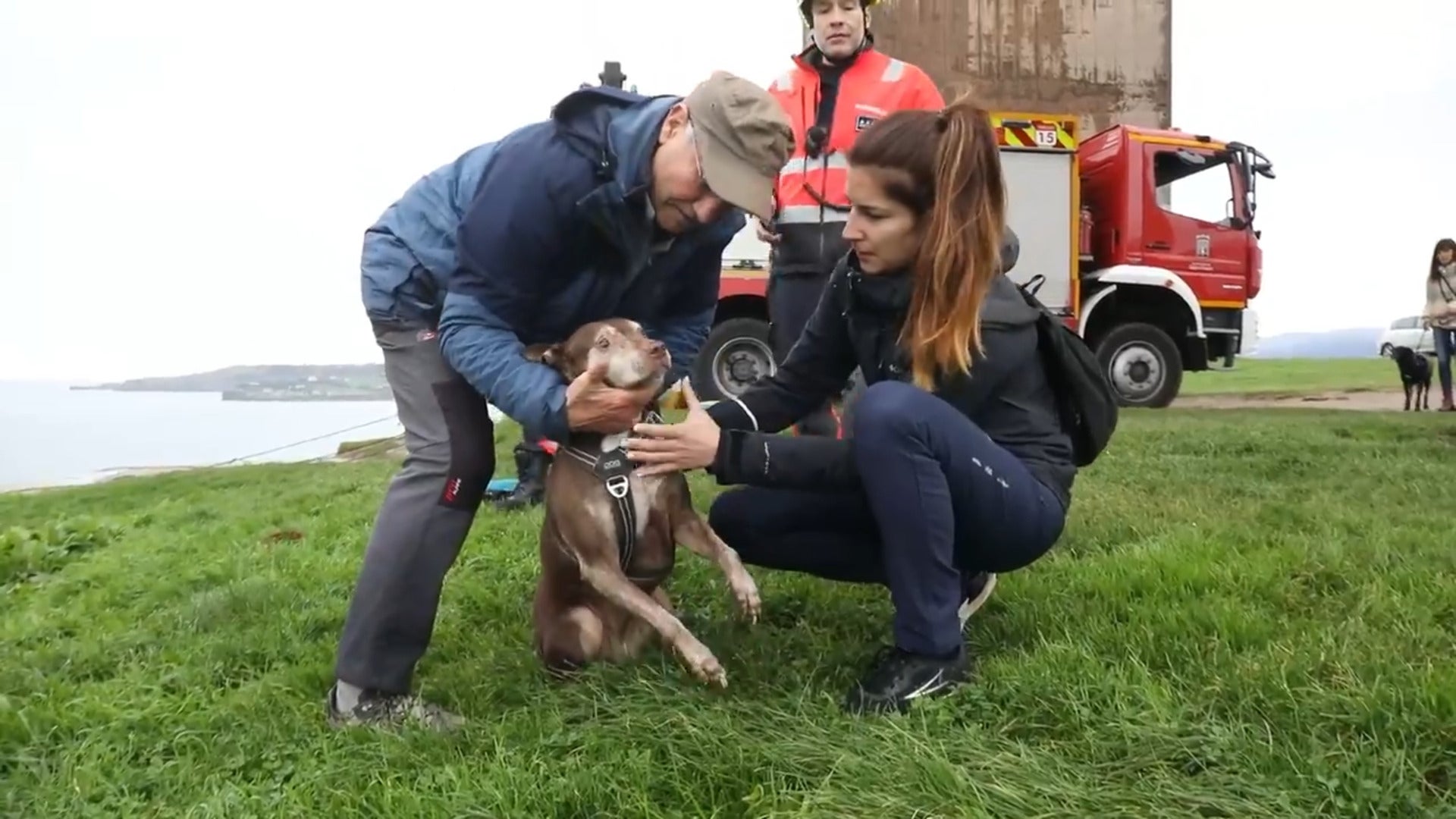 Rescatan con éxito a un perro en el Cerro | El Comercio: Diario de Asturias