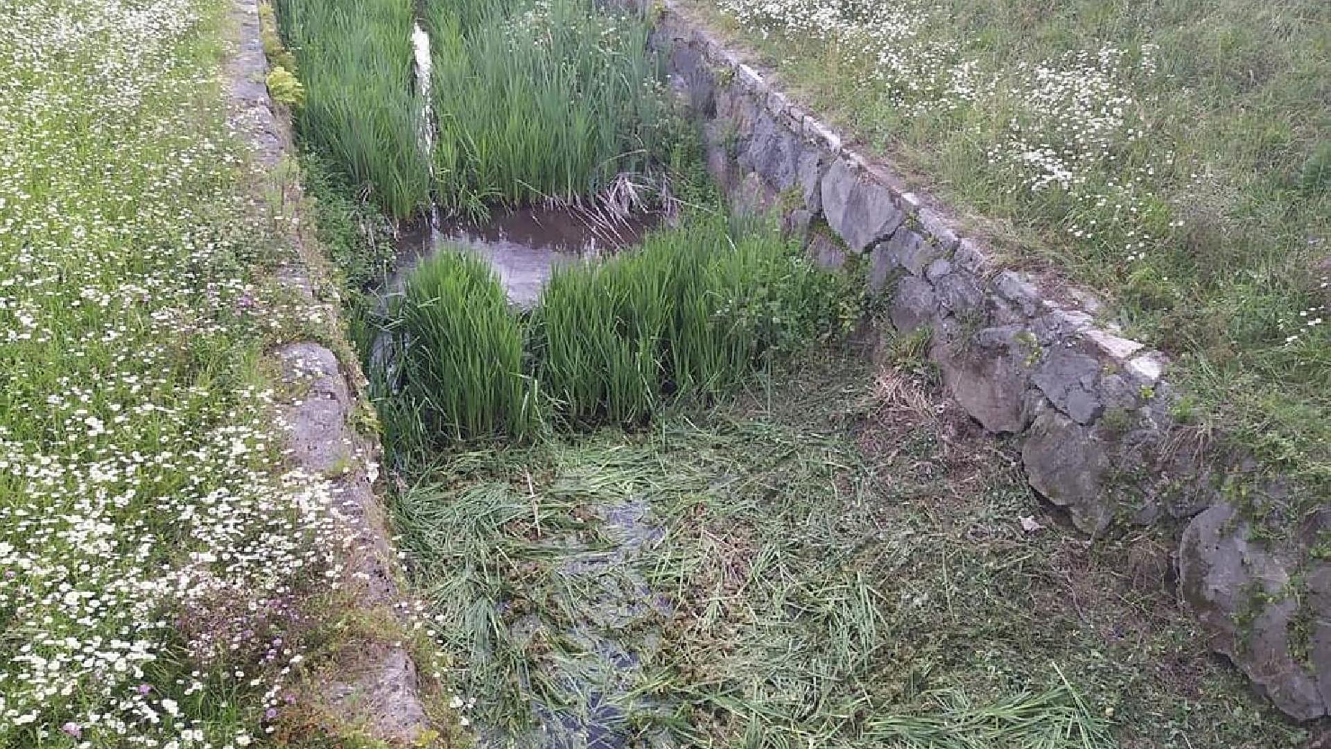 Limpieza del río Pilón a la altura del parque de Moreda | El Comercio ...