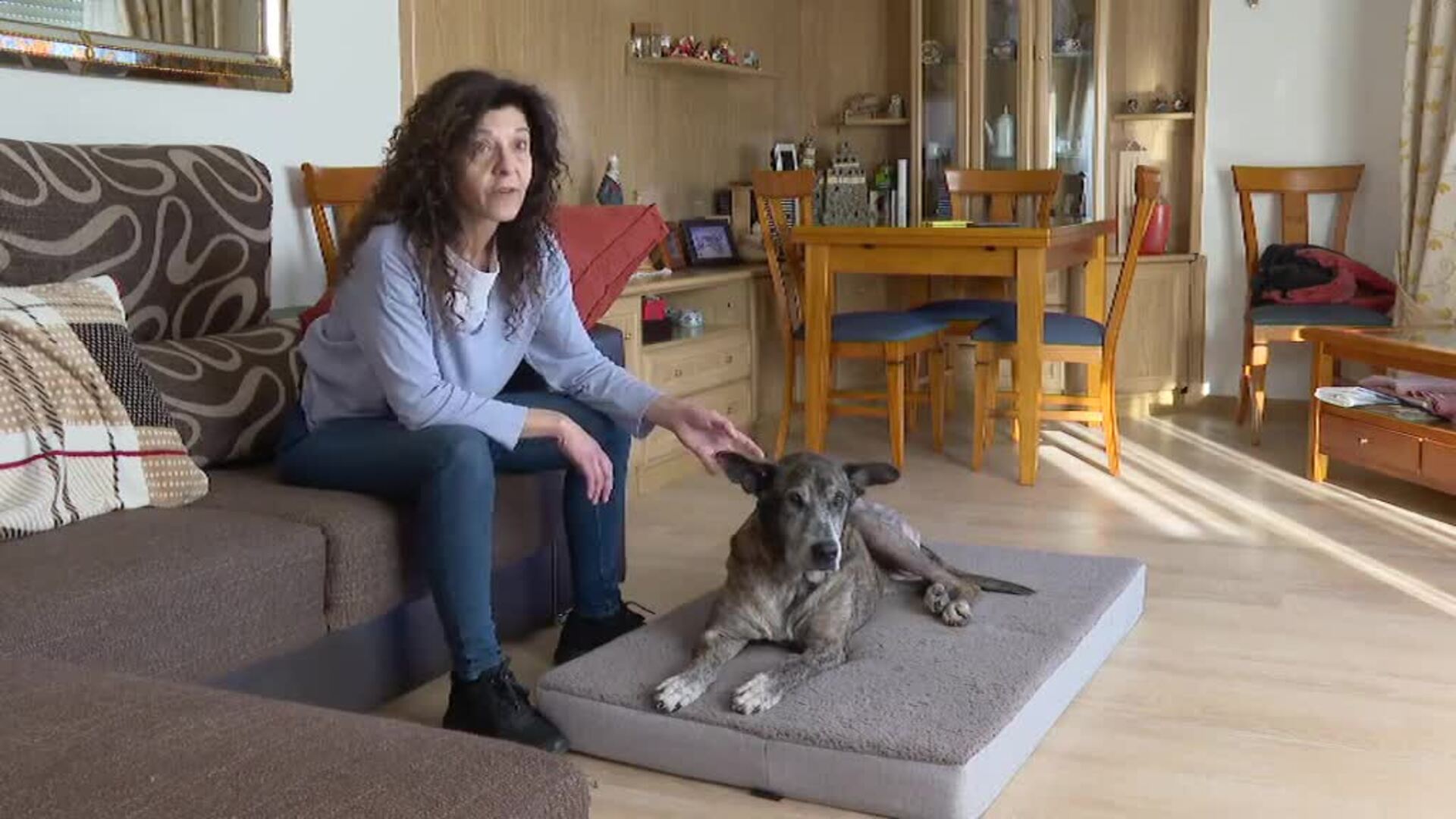 Se busca familia para Holly | El Comercio: Diario de Asturias