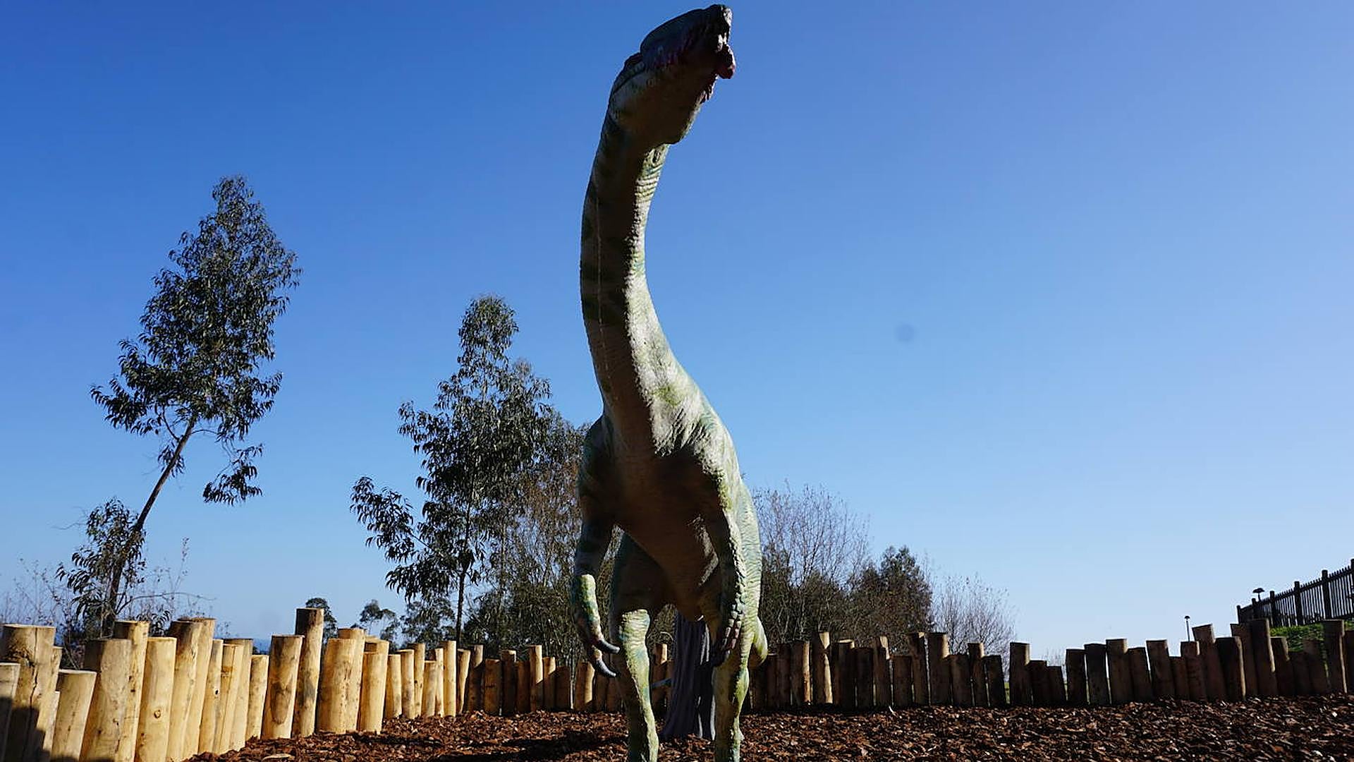 El MUJA cumple veinte años: medio centenar de actividades para ...