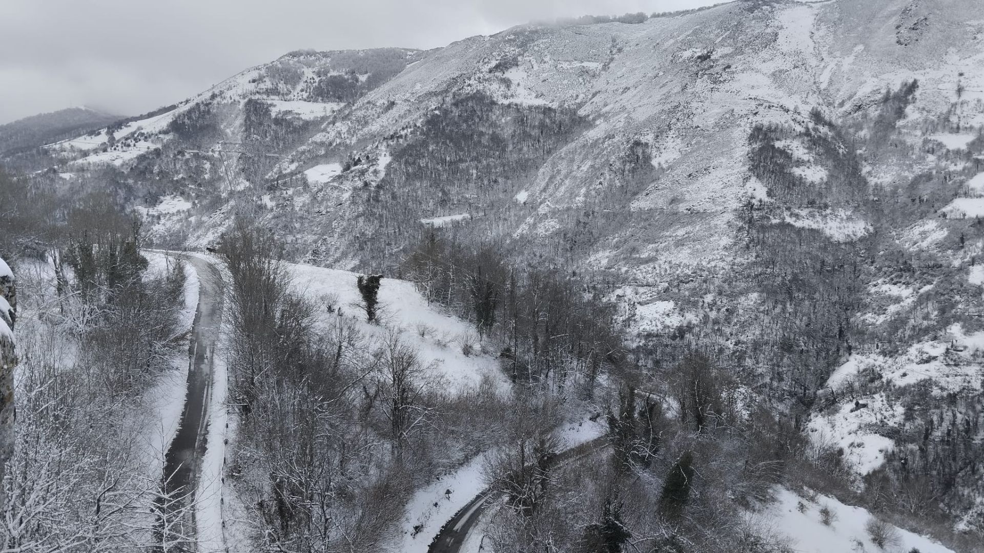 Asturias, bajo la nieve: las fotos que deja la borrasca 'Francis' | El ...