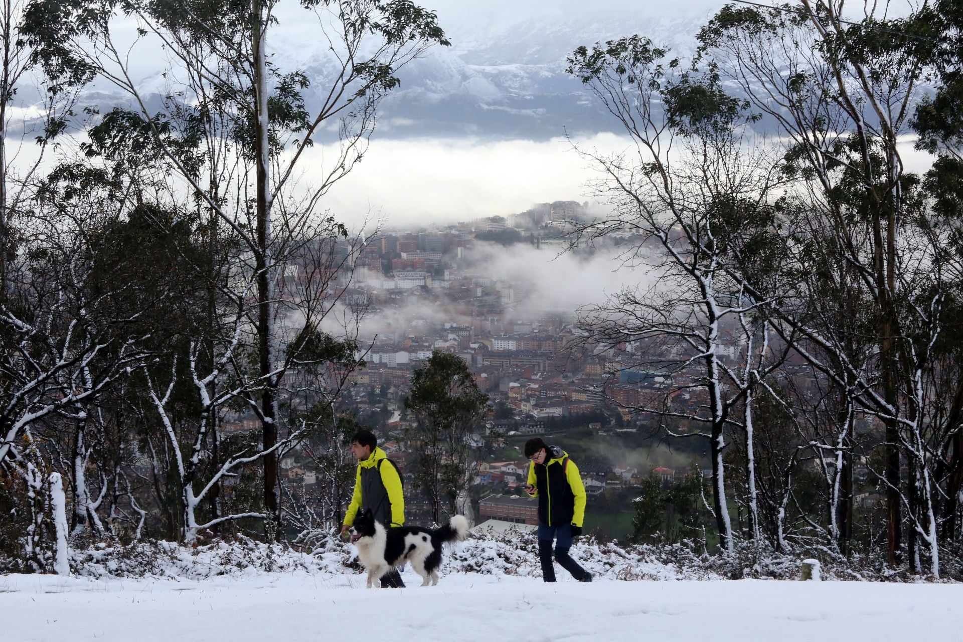 Asturias, bajo la nieve: las fotos que deja la borrasca 'Francis' | El ...