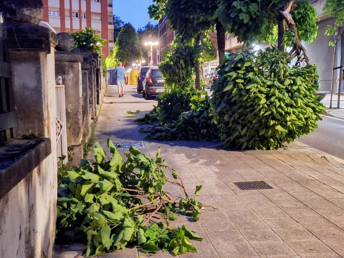 Los estragos del viento en Avilés | El Comercio: Diario de Asturias