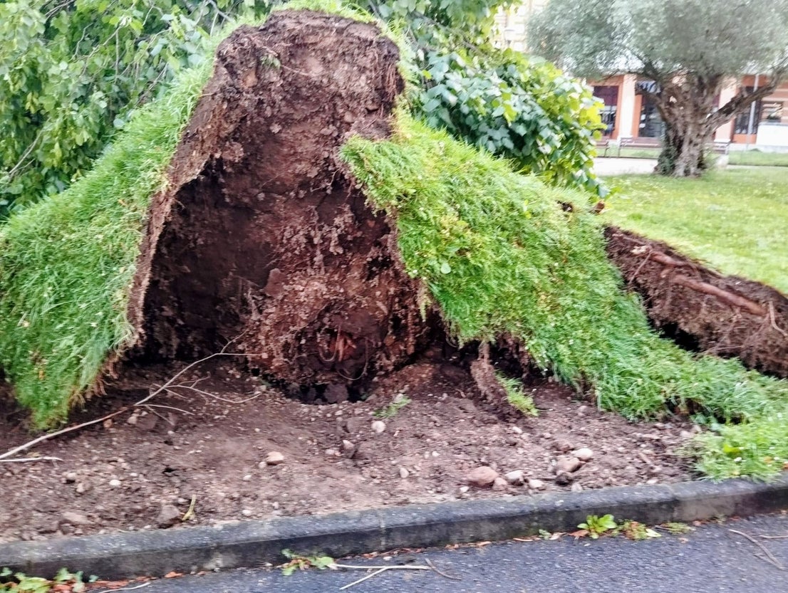 Los estragos del viento en Avilés | El Comercio: Diario de Asturias
