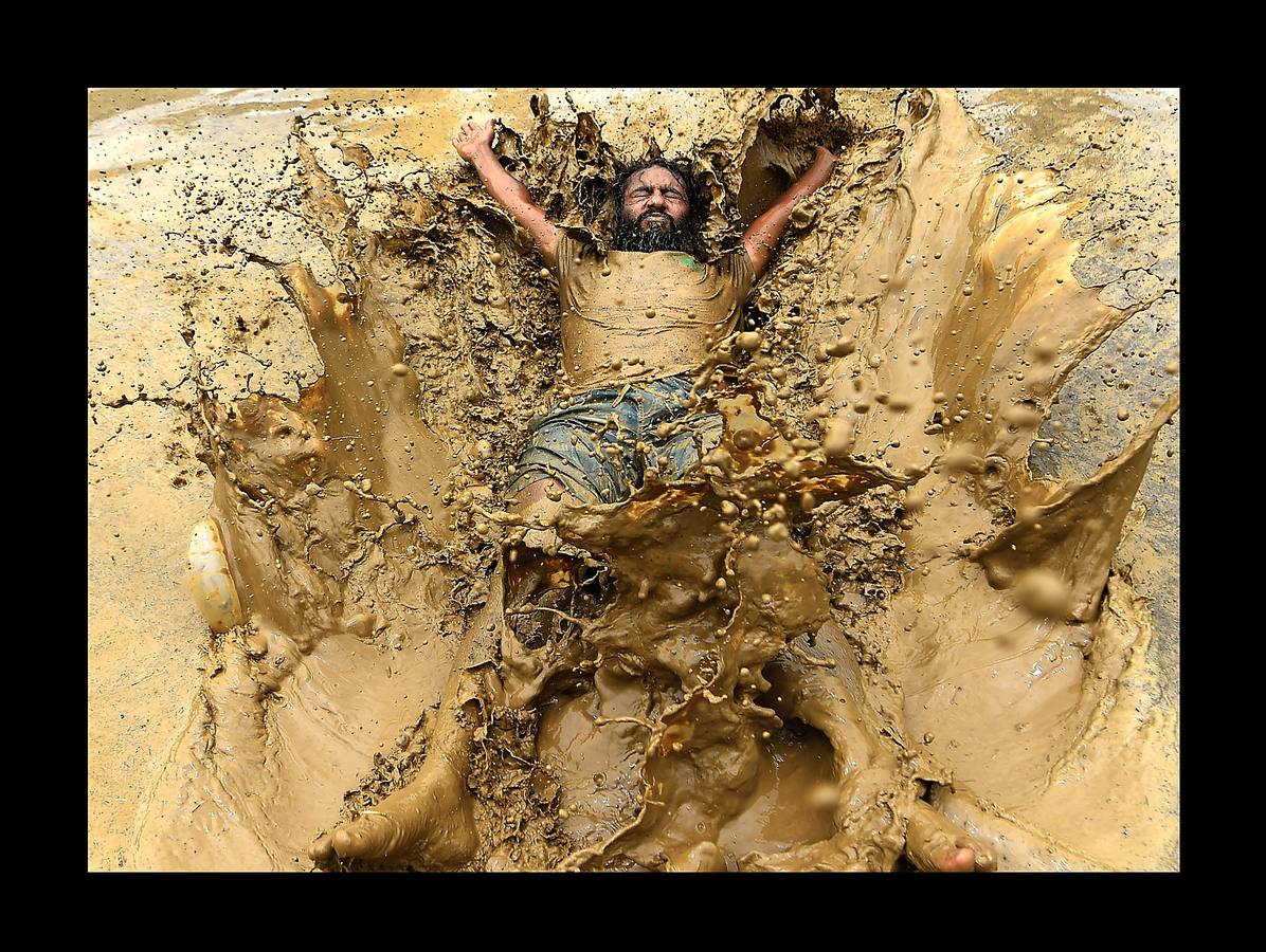 Fotos: La fiesta del arroz | El Correo