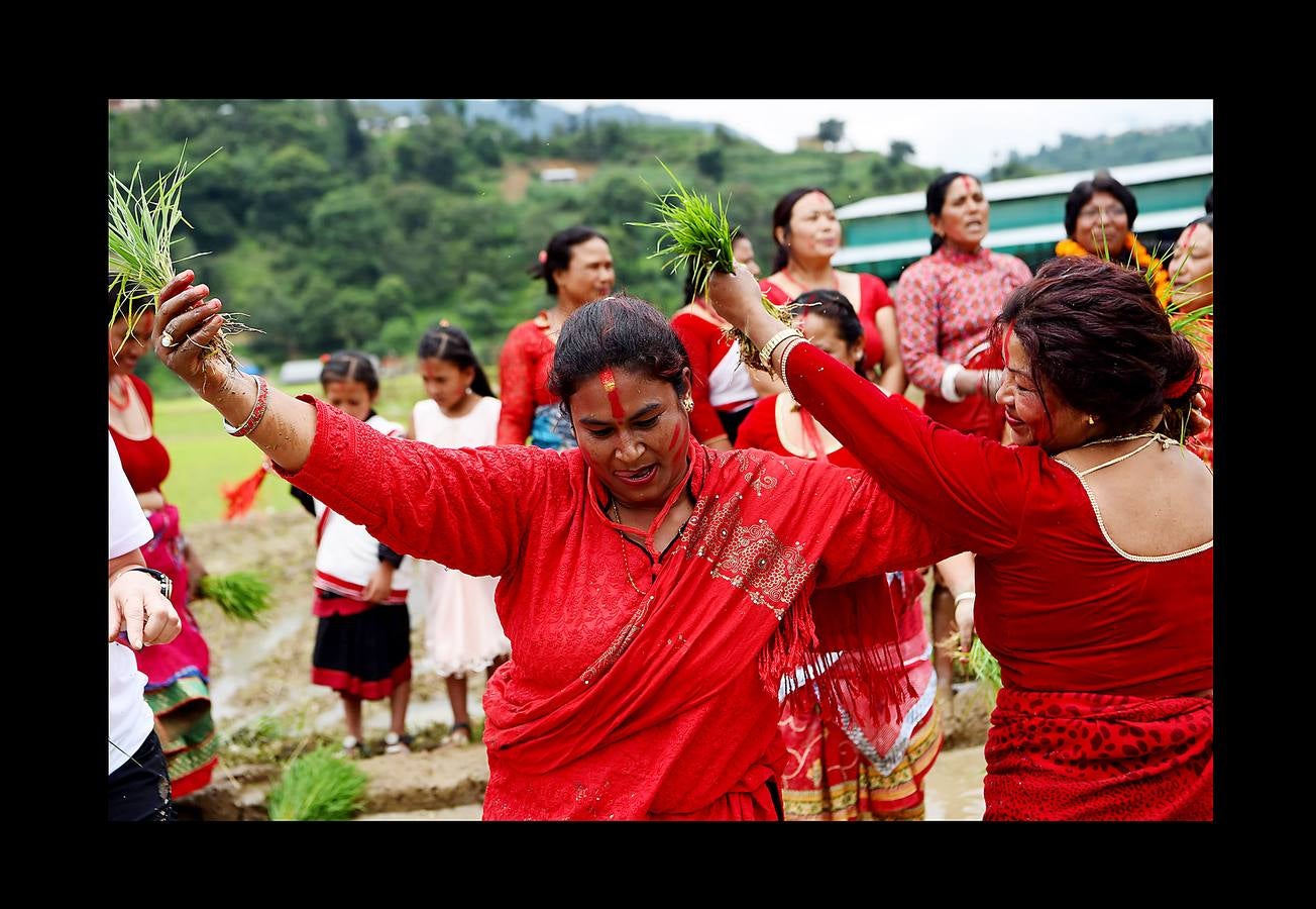 Fotos: La fiesta del arroz | El Correo