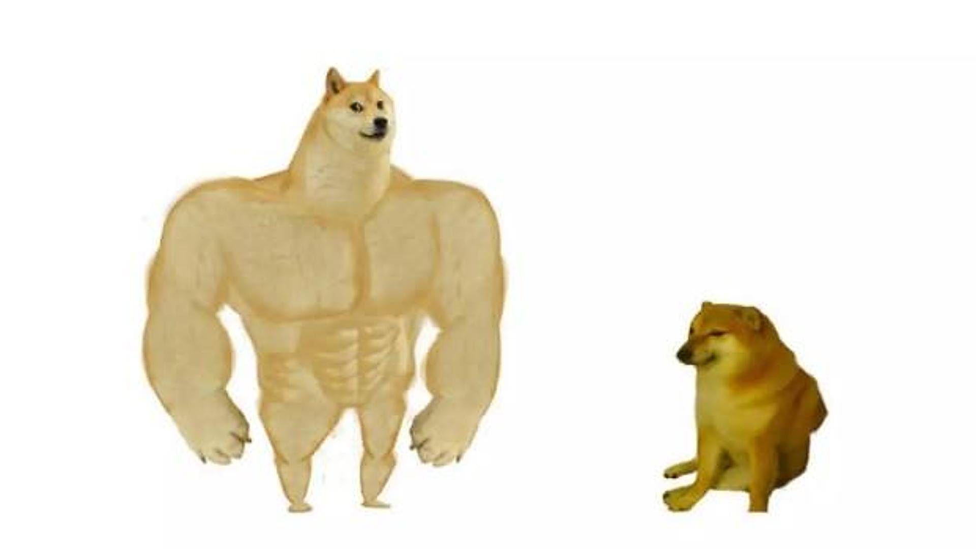 Muere Cheems, el perro más viral de internet | El Correo