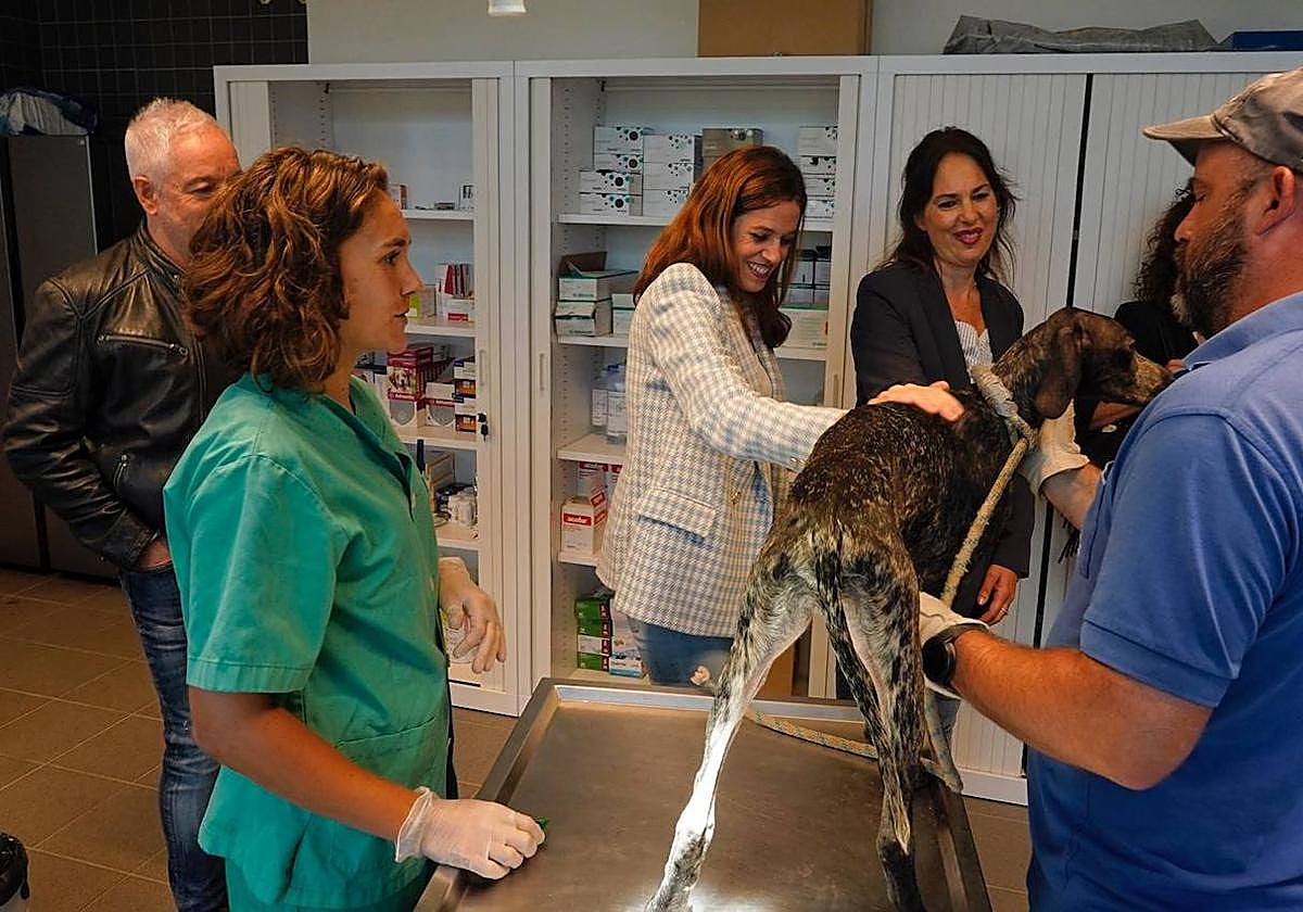 Así es la renovada perrera de Vitoria: cheniles calefactados, quirófano ...