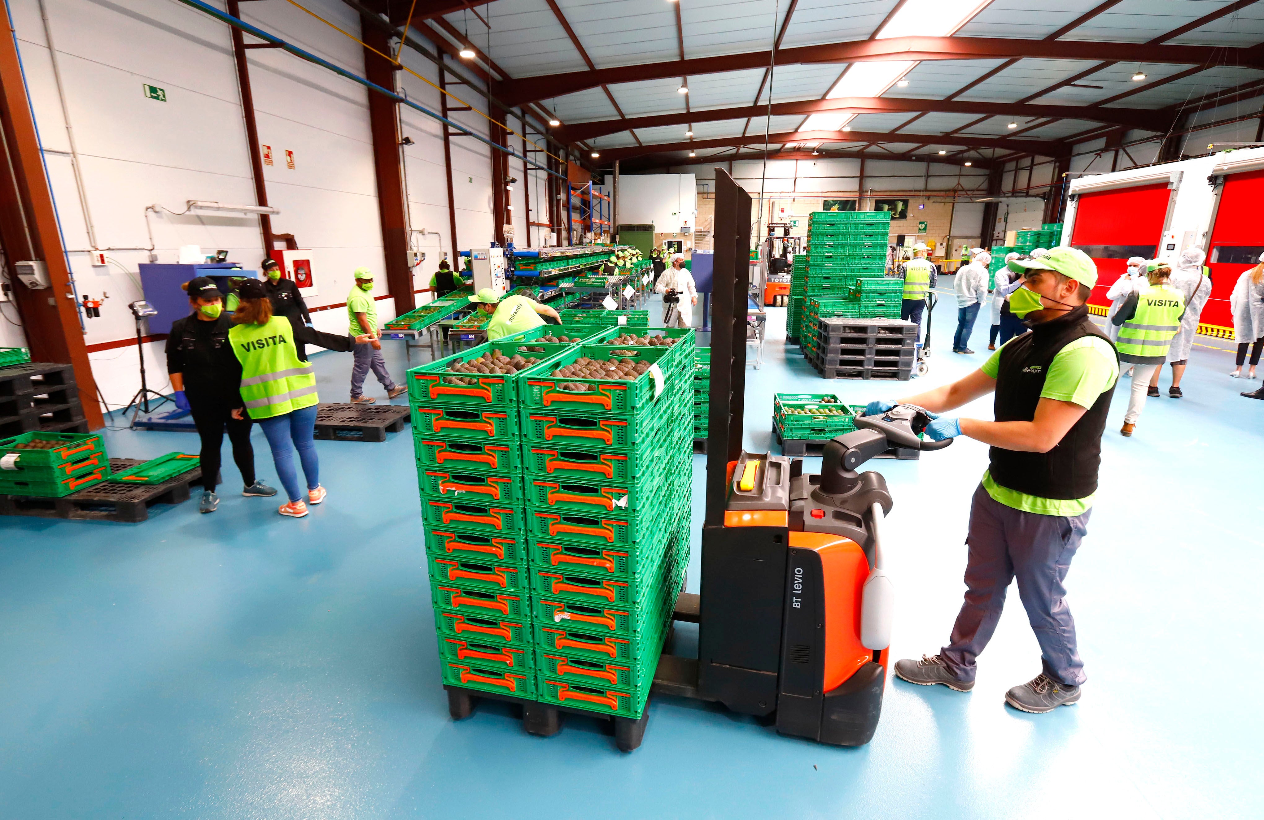 Una docena de nuevas empresas han dejado Miranda antes de cumplir los ...