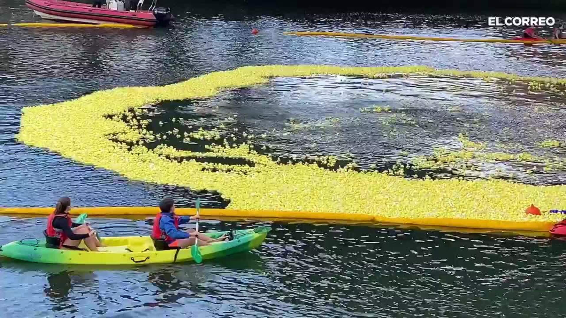 Miles de patitos tiñen de amarillo la ría de Bilbao | El Correo